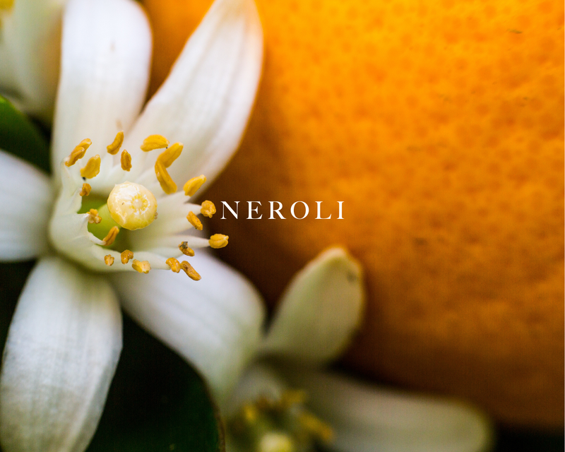 Number Six Eau de Parfum | Caswell‑Massey 1772 Icon