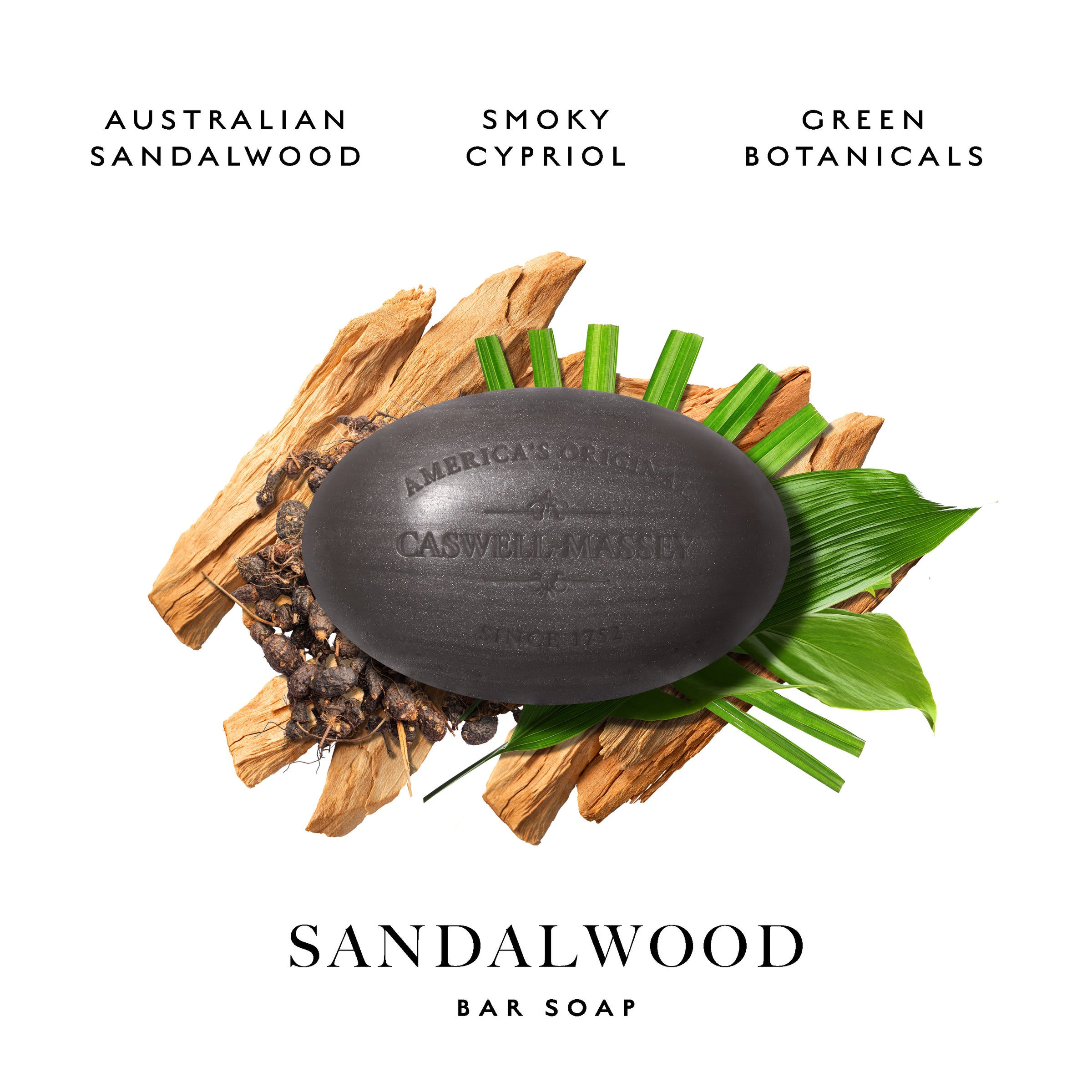 Centuries Sandalwood Bar Soap | Luxury Bar Soap | Caswell-Massey®