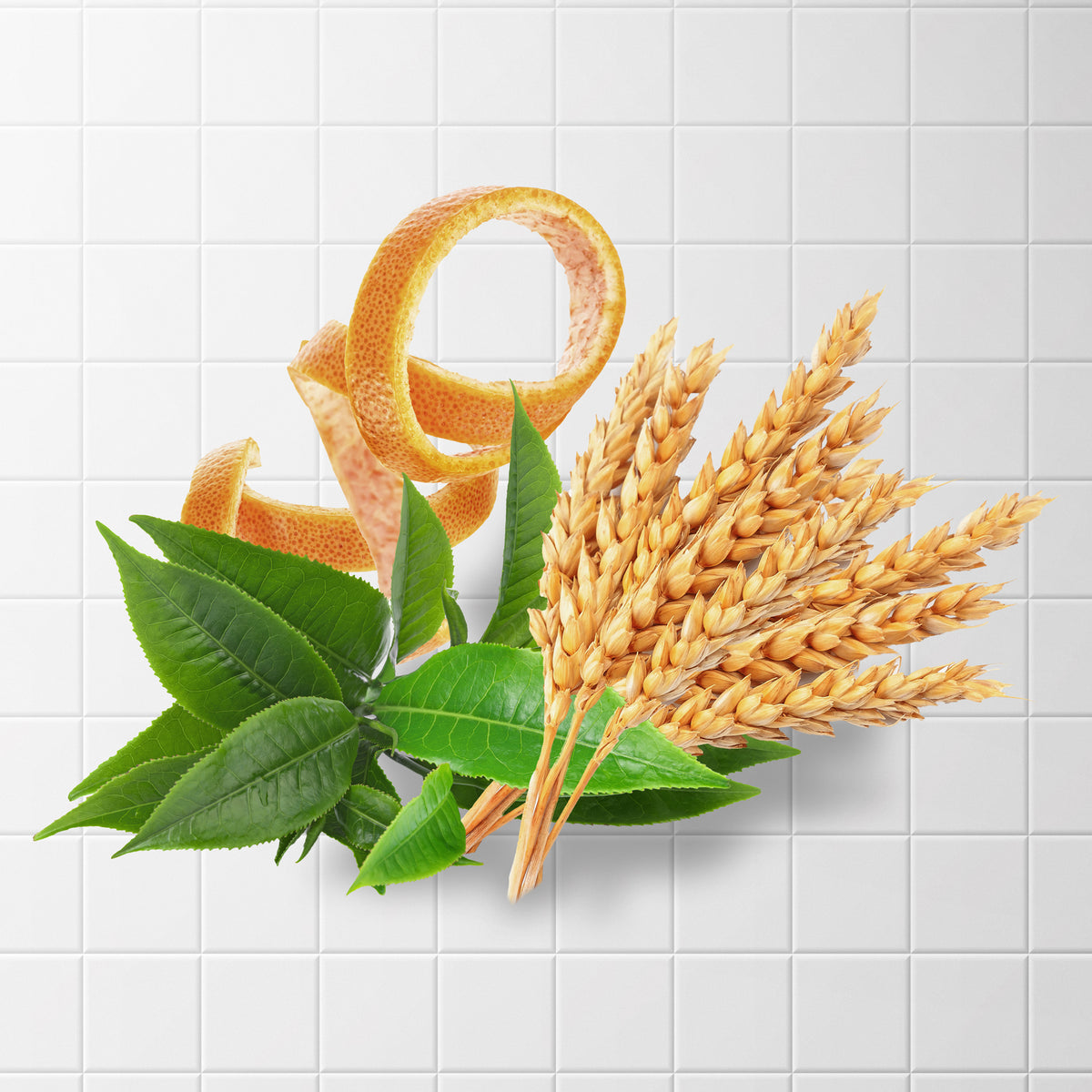 Scrub Bar: What's in it