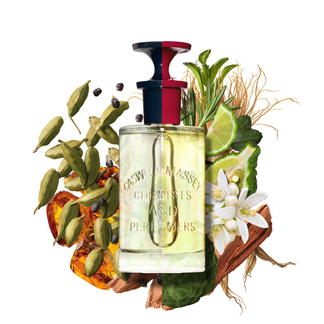 Guide to Scent Layering | Caswell-Massey Blog