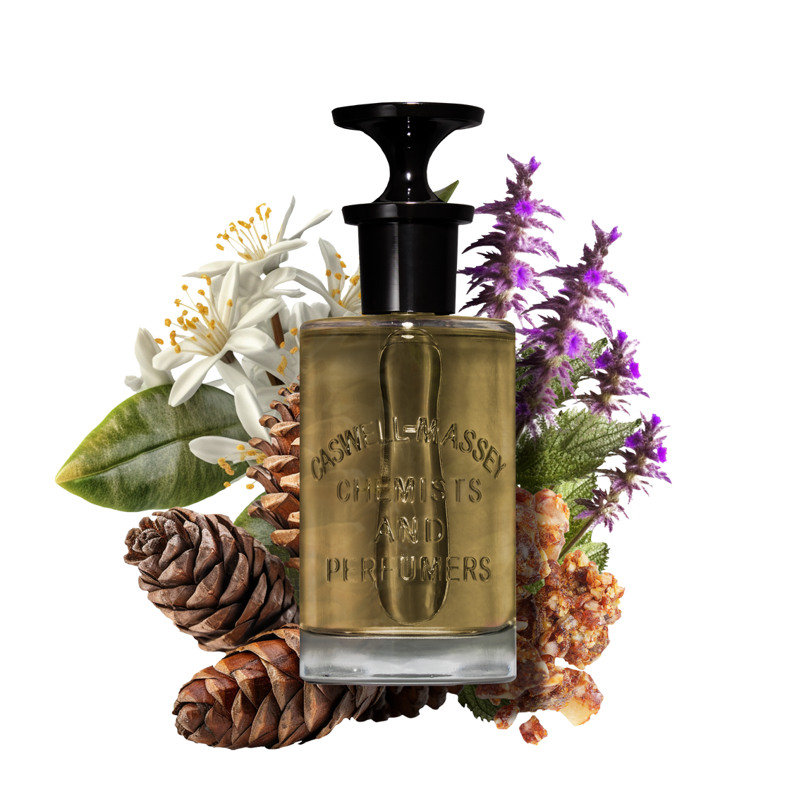 OAIRE Eau de Parfum