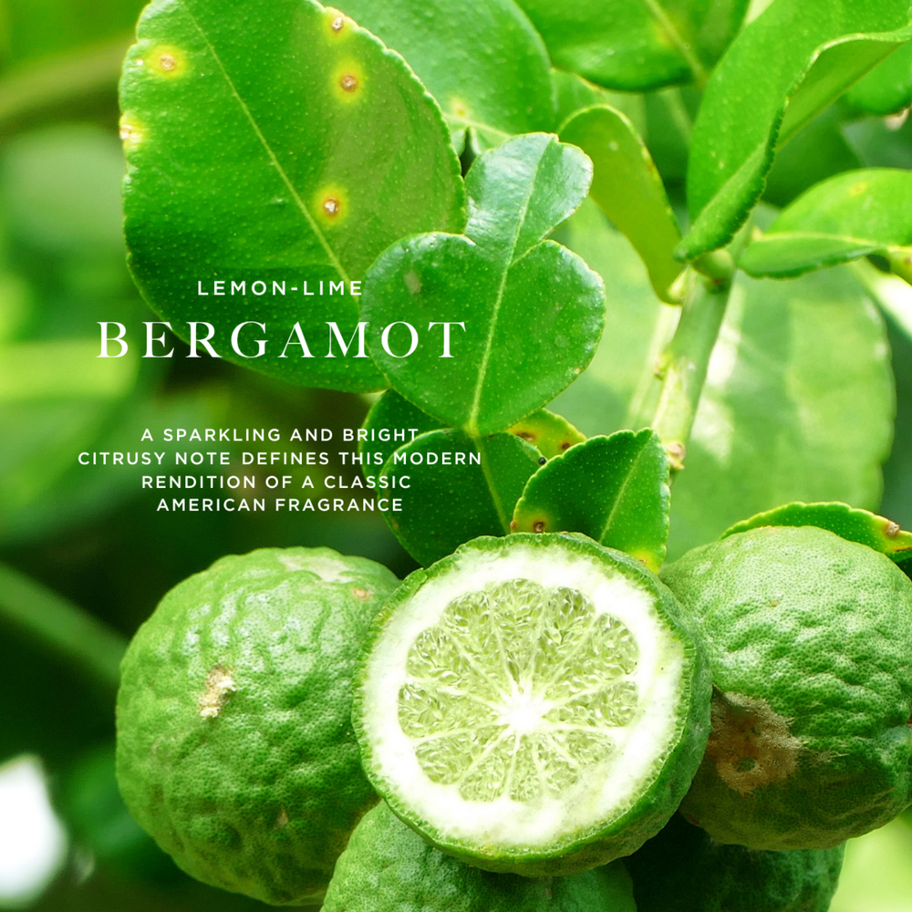 Number Six Eau de Parfum | Caswell‑Massey 1772 Icon