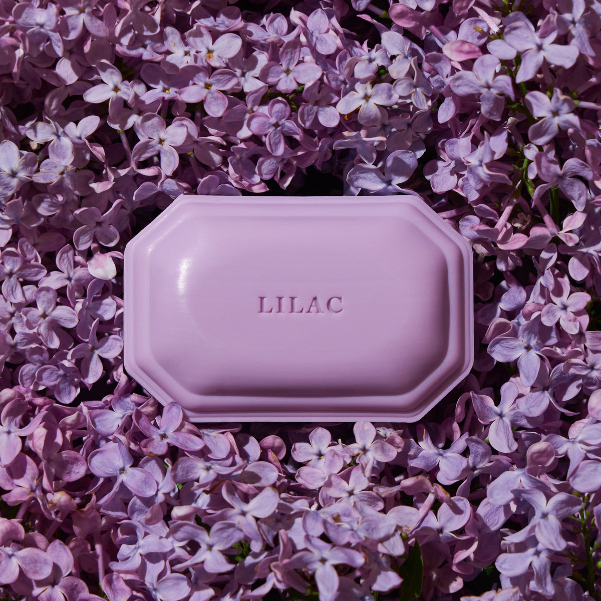 Lilac Bar Soap | Luxury Bar Soap | Caswell-Massey®